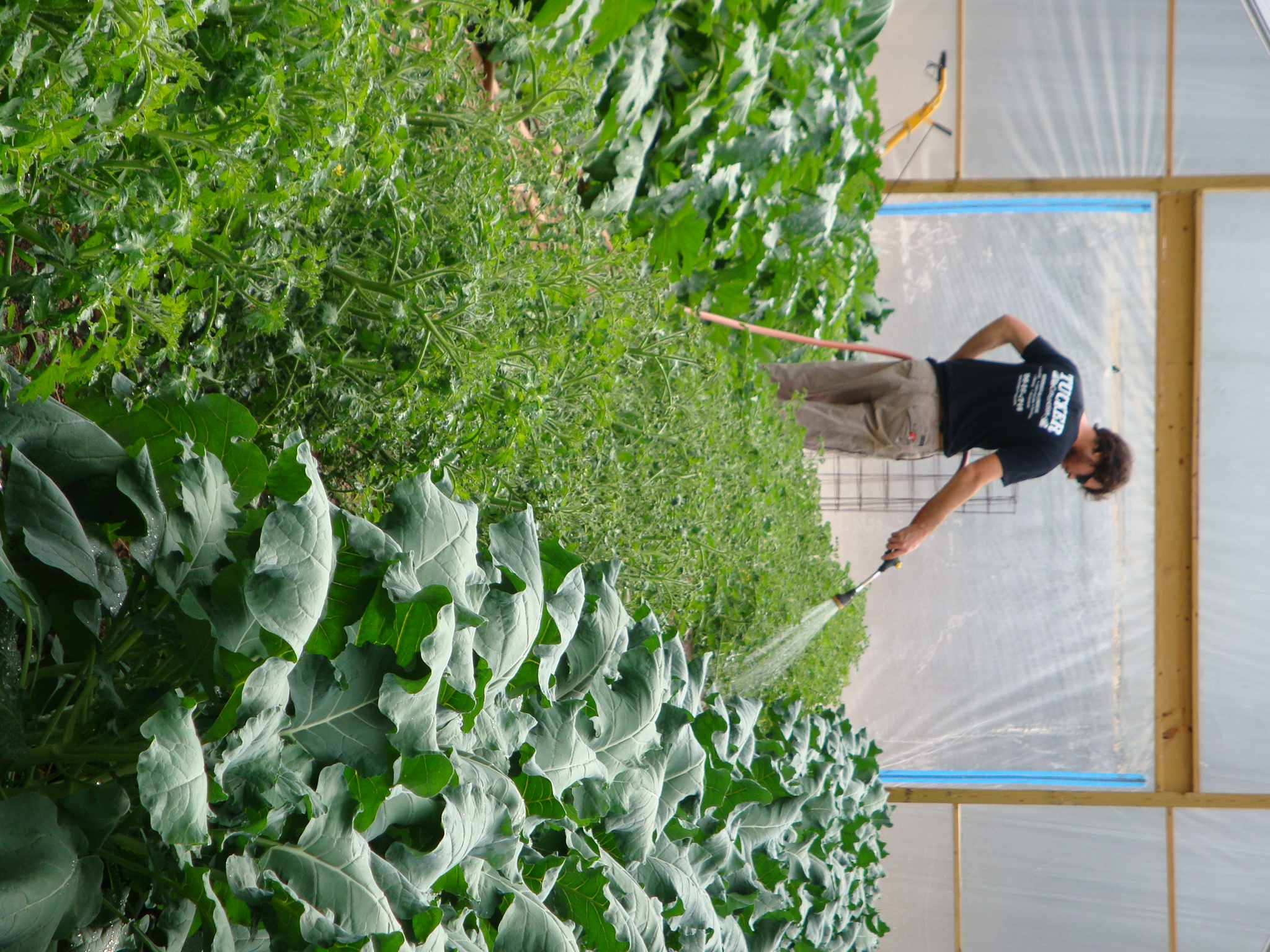 Shop. Meet Craig & Kikki of Tucker Farms